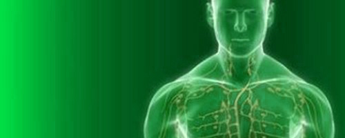 The Lymphatic & Immune System Part 8: Approaching a client with a ...